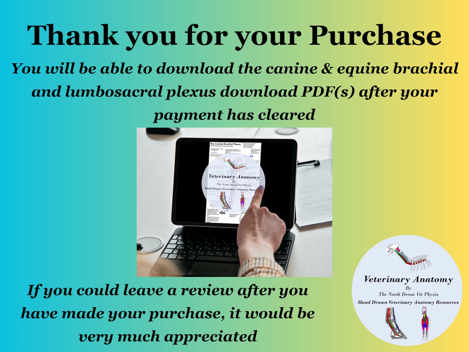 Canine & Equine Brachial and Lumbosacral Plexus Diagrams - Instant PDF ...