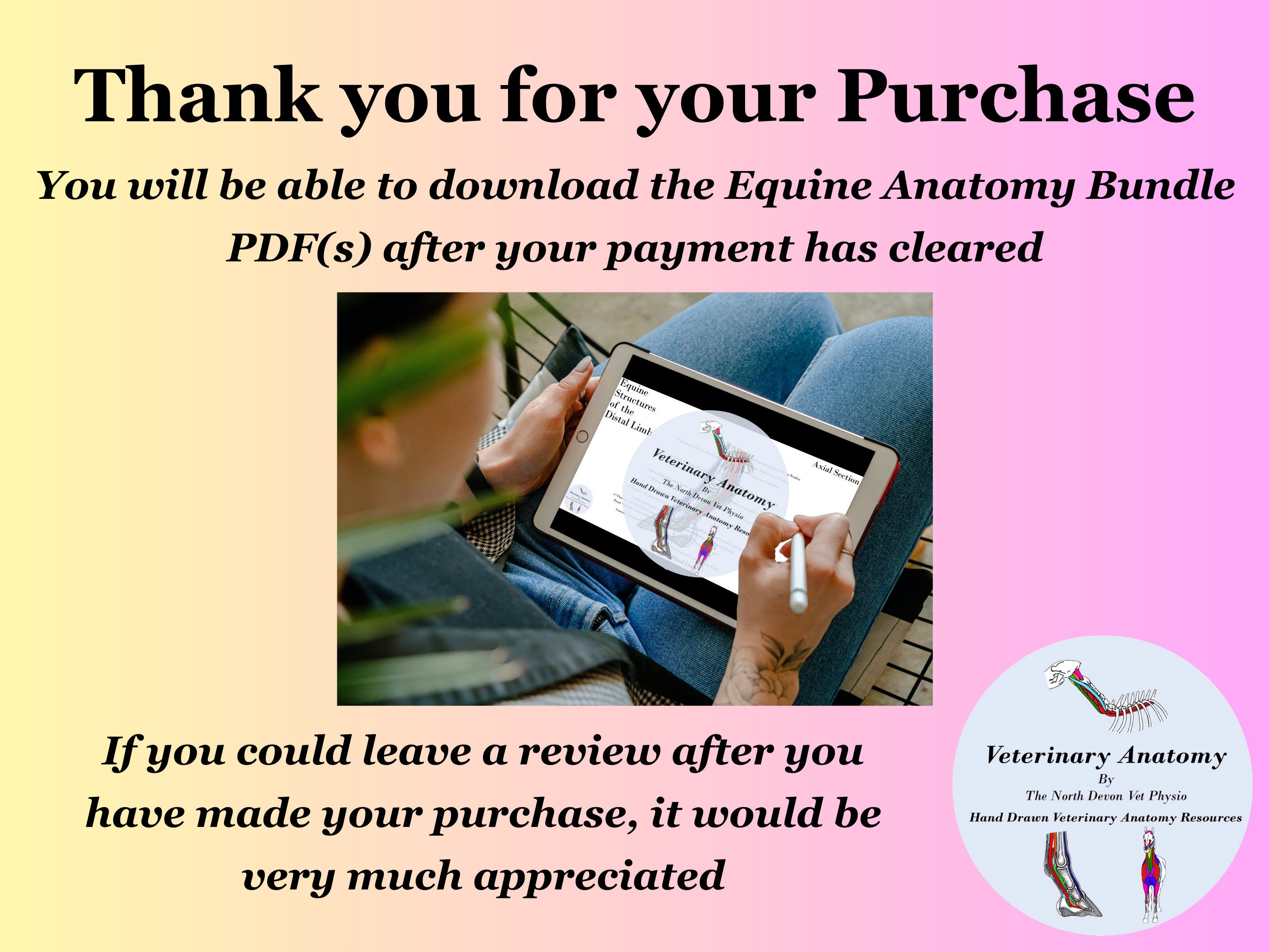 Equine Anatomy Bundle - Instant Download - Musculature, Skeleton, Bony ...