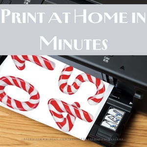 Bulletin Board Kit | Christmas Board | Candy Cane | Ornament Student ...