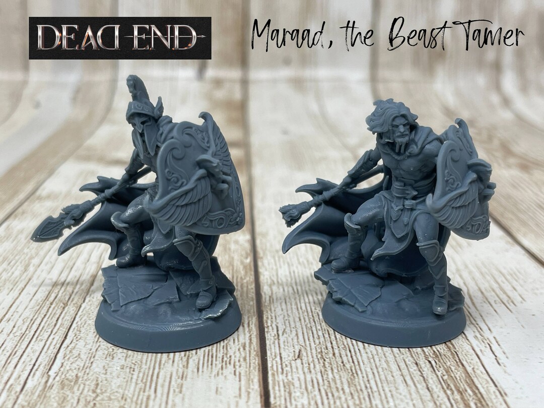 Maraad, the Beast Tamer | Gladiator | Fighter | Barbarian | Male ...