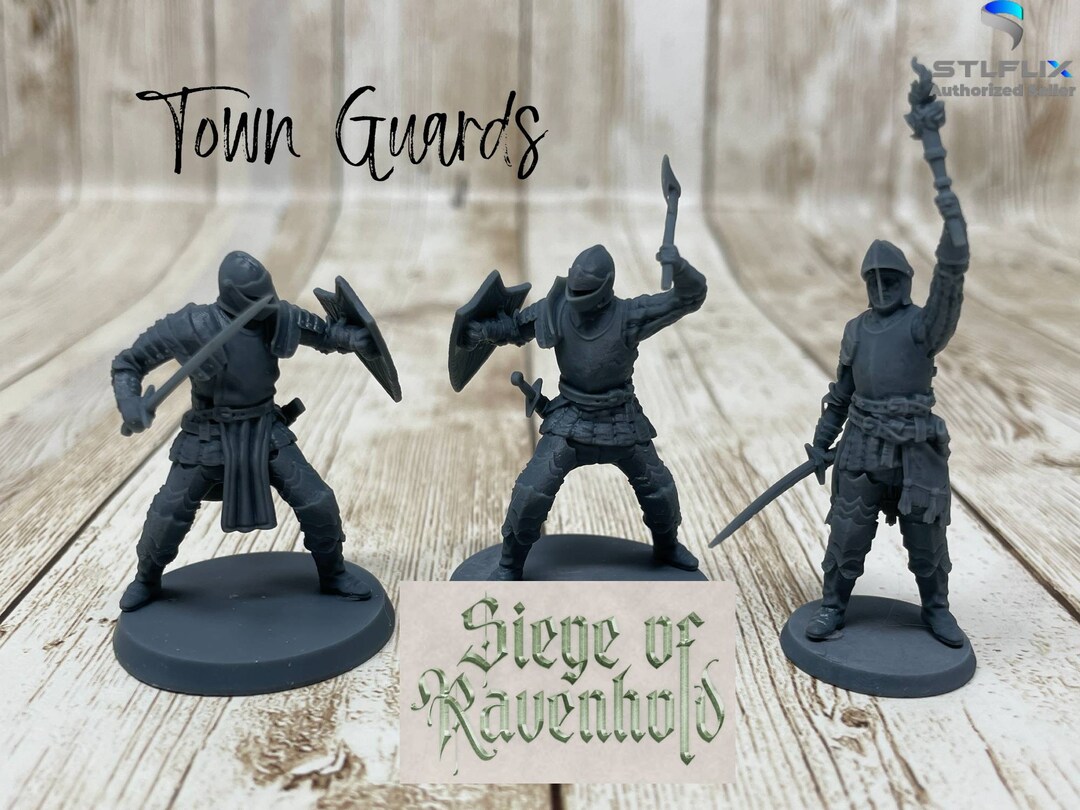 Town Guards | Fighter | Male | Tabletop Miniatures | Siege of Ravenhold ...