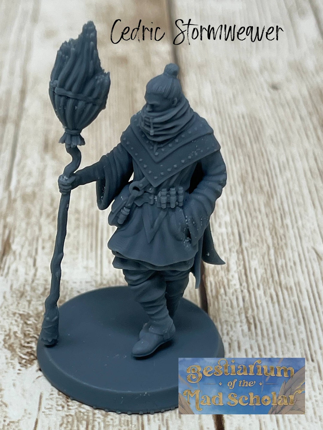 Cedric Stormweaver | Sorcerer | Wizard | Human | Male/female | Tabletop Miniatures | Bestiarium ...