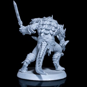 Arak Warrior | Fighter | Male | Dragonborn | Reptile Folk | Tabletop ...