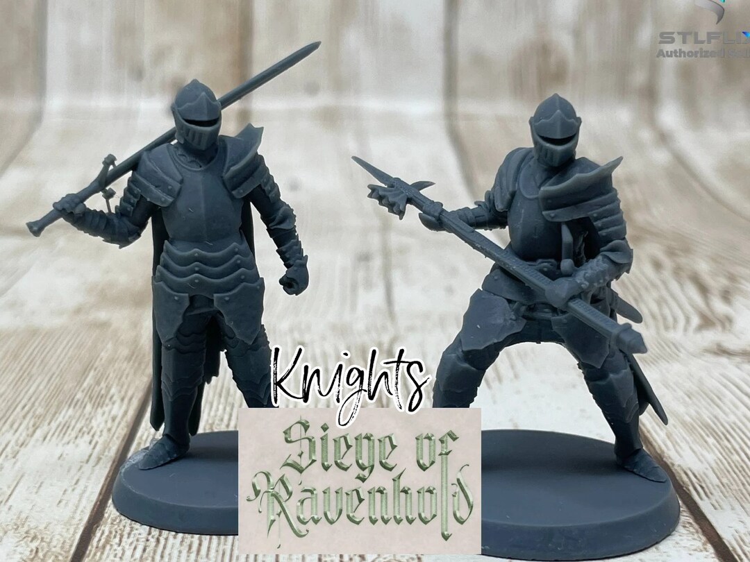 Knights | Fighters | Male | Tabletop Miniatures | Siege of Ravenhold ...