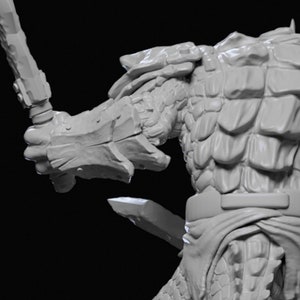Arak Warrior | Fighter | Male | Dragonborn | Reptile Folk | Tabletop ...