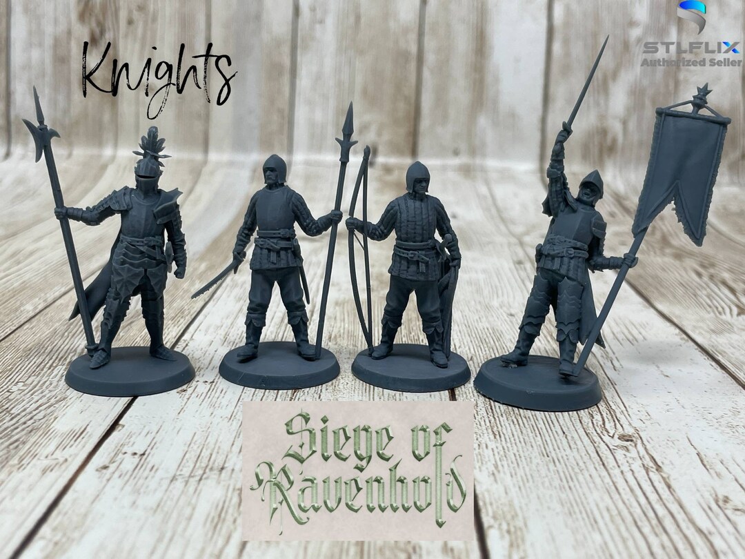 Infantry and General | Fighter | Male | Tabletop Miniatures | Siege of ...