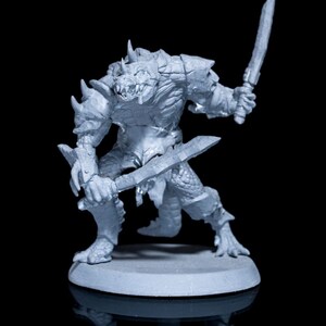 Arak Warrior | Fighter | Male | Dragonborn | Reptile Folk | Tabletop ...