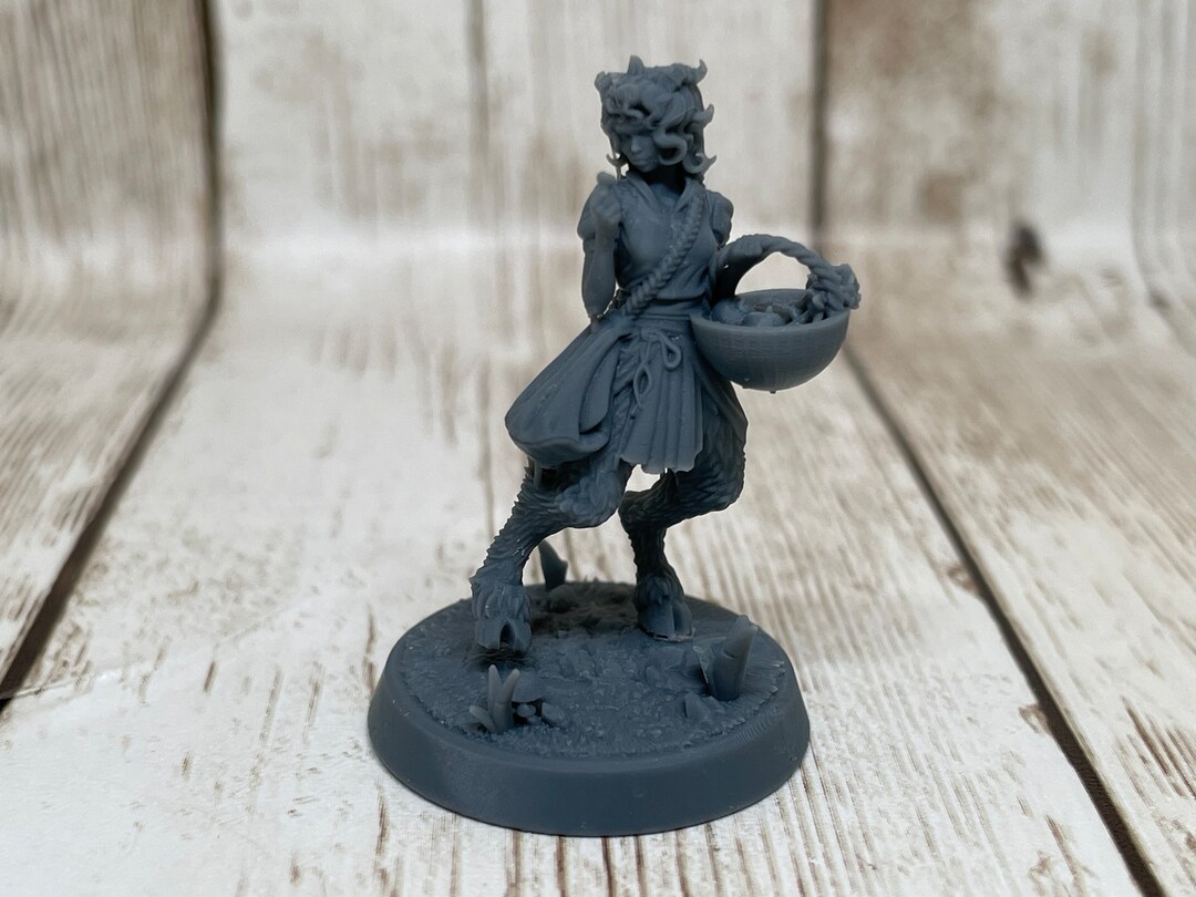 Faun Ferne Witches of Sommar Tabletop Miniatures Hero D&D Dungeons and ...