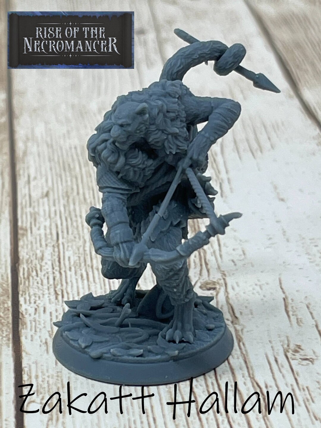 Zakatt Hallam | Tabaxi | Archer | Ranger | Male | Rise of the ...