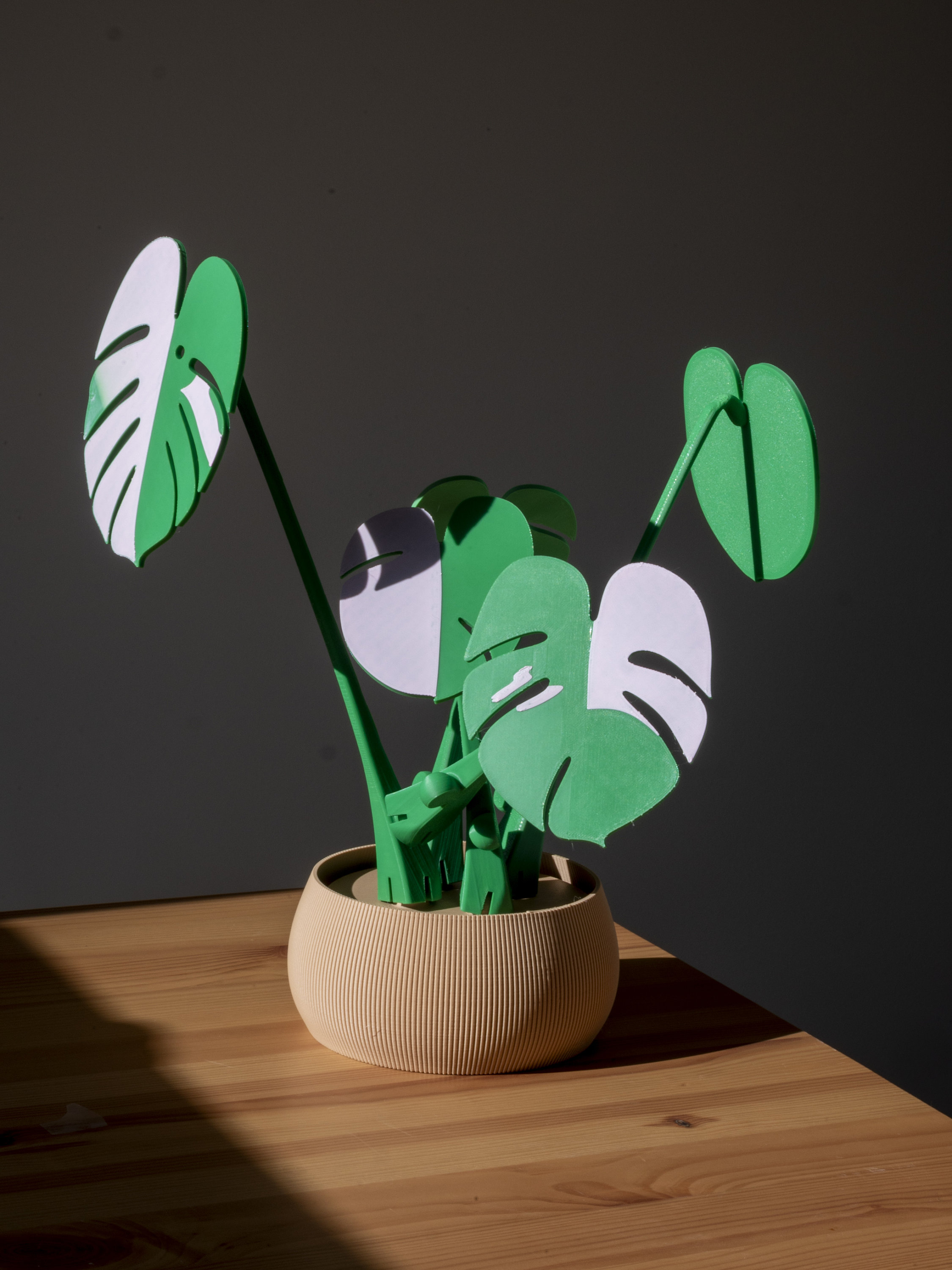 3d-printed Monstera Plant-shaped Coaster Set With Detachable Magnetic ...