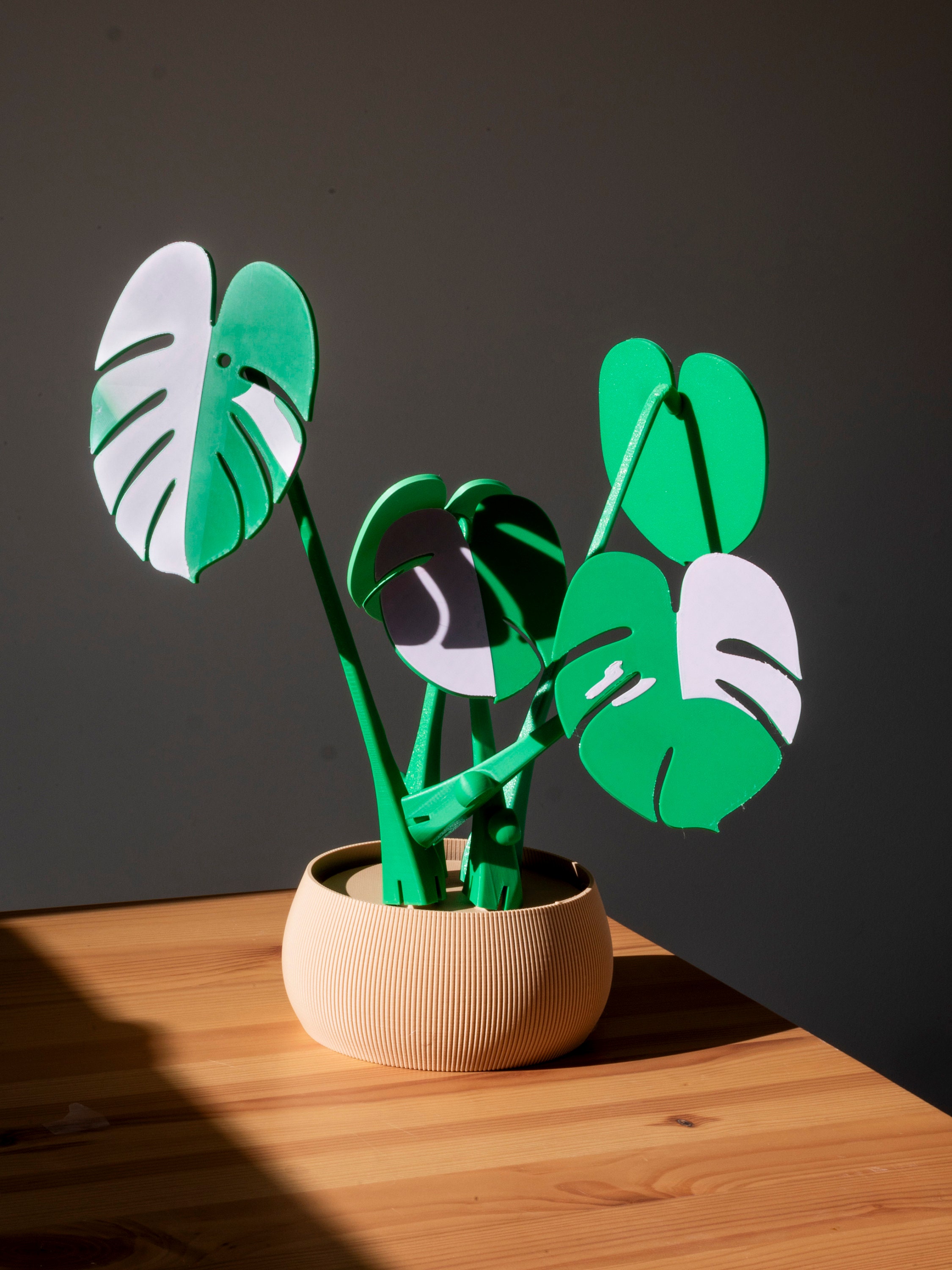 3d-printed Monstera Plant-shaped Coaster Set With Detachable Magnetic ...