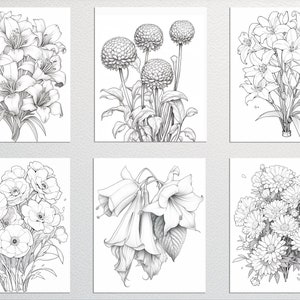 100 Elegant Flower Coloring Pages Adults and Kids Coloring Book ...