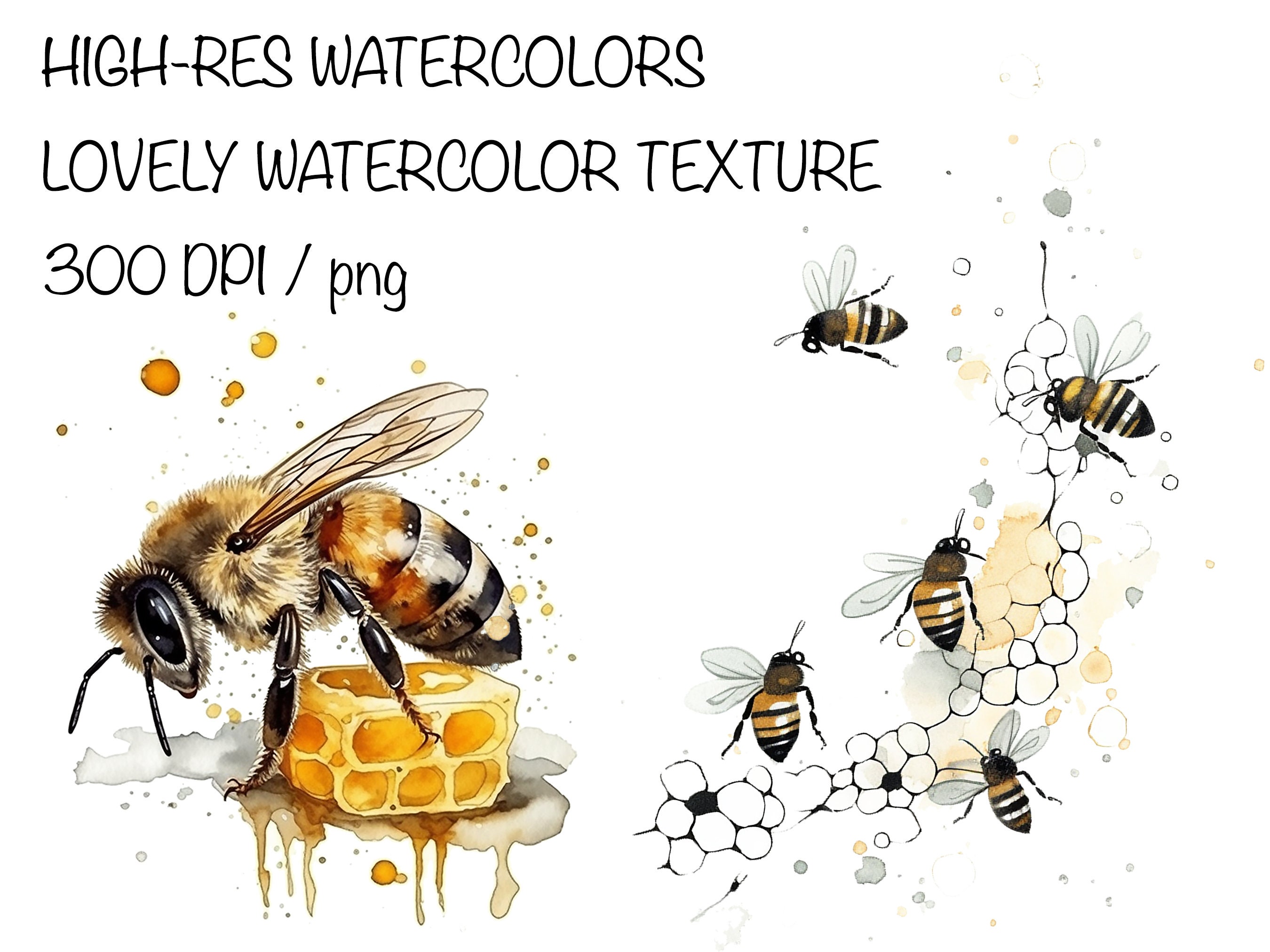 Watercolor Honey Bee Clipart Bee Illustrations for Crafts & Invitations ...