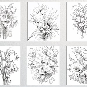 100 Elegant Flower Coloring Pages Adults and Kids Coloring Book ...