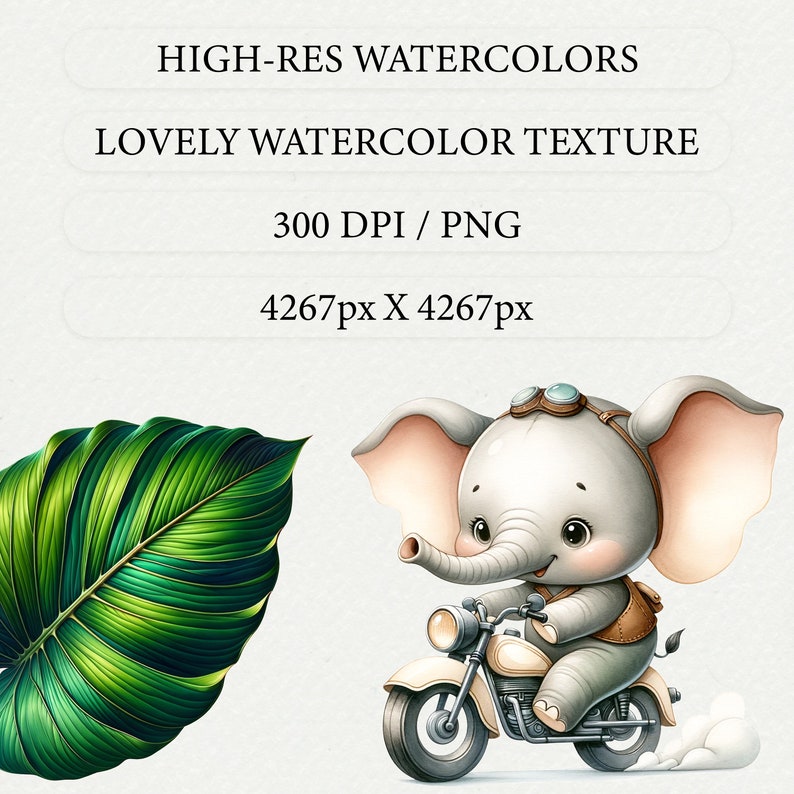 Cute Watercolor Elephant Clipart Digital Printable Elephant Images for ...