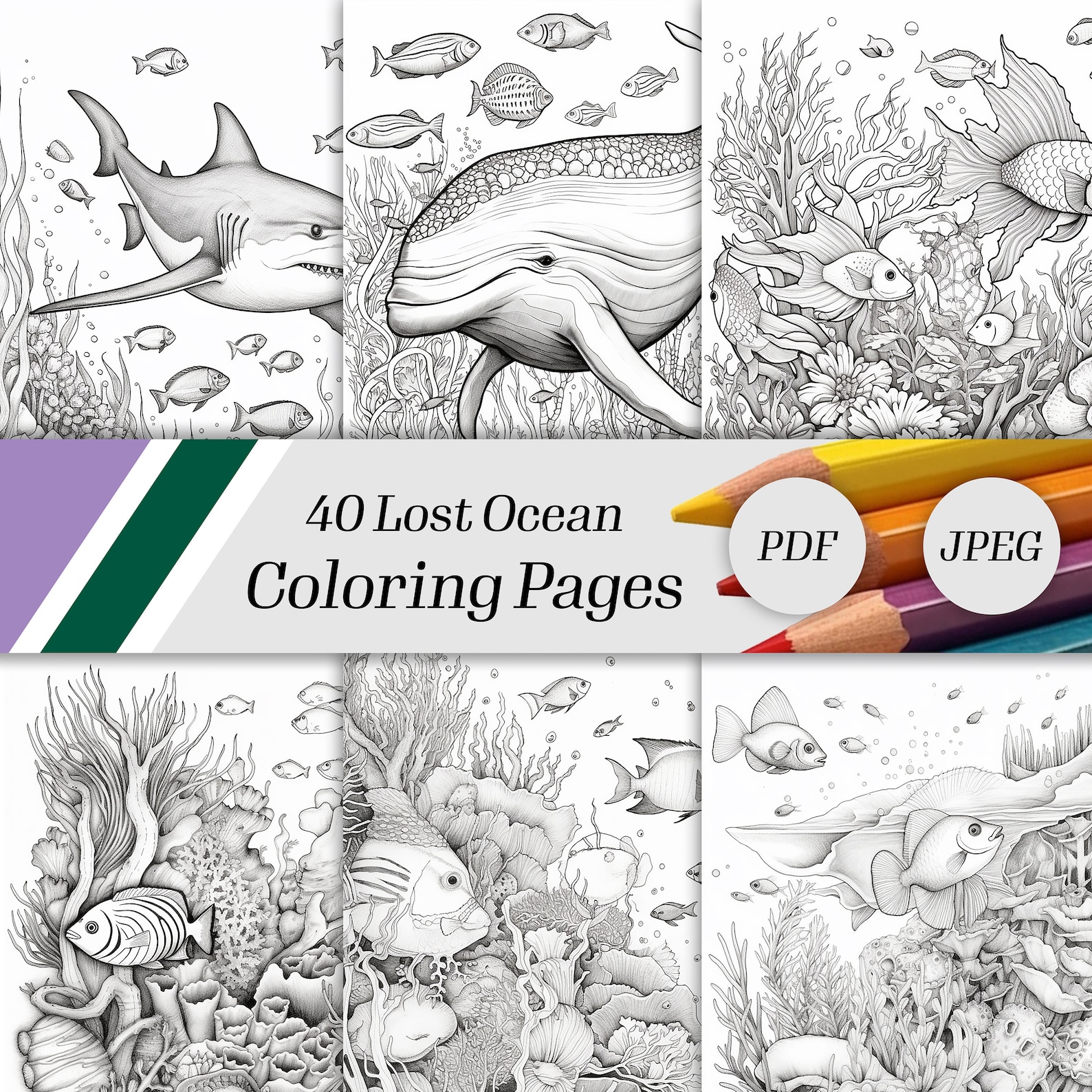 40 Ocean Coloring Pages for Adults, Under the Sea Animals and ...