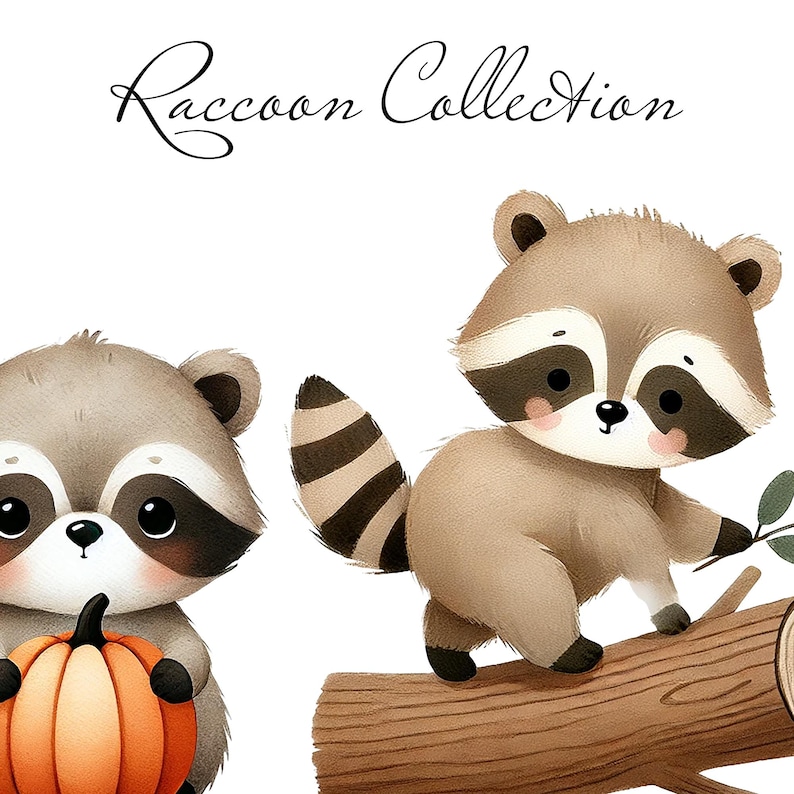 Watercolor Raccoon Clipart Set, Woodland Nursery Art (commercial Use ...