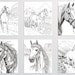 Horses Coloring Pages, 40 Sheets Instant Download - Etsy Canada