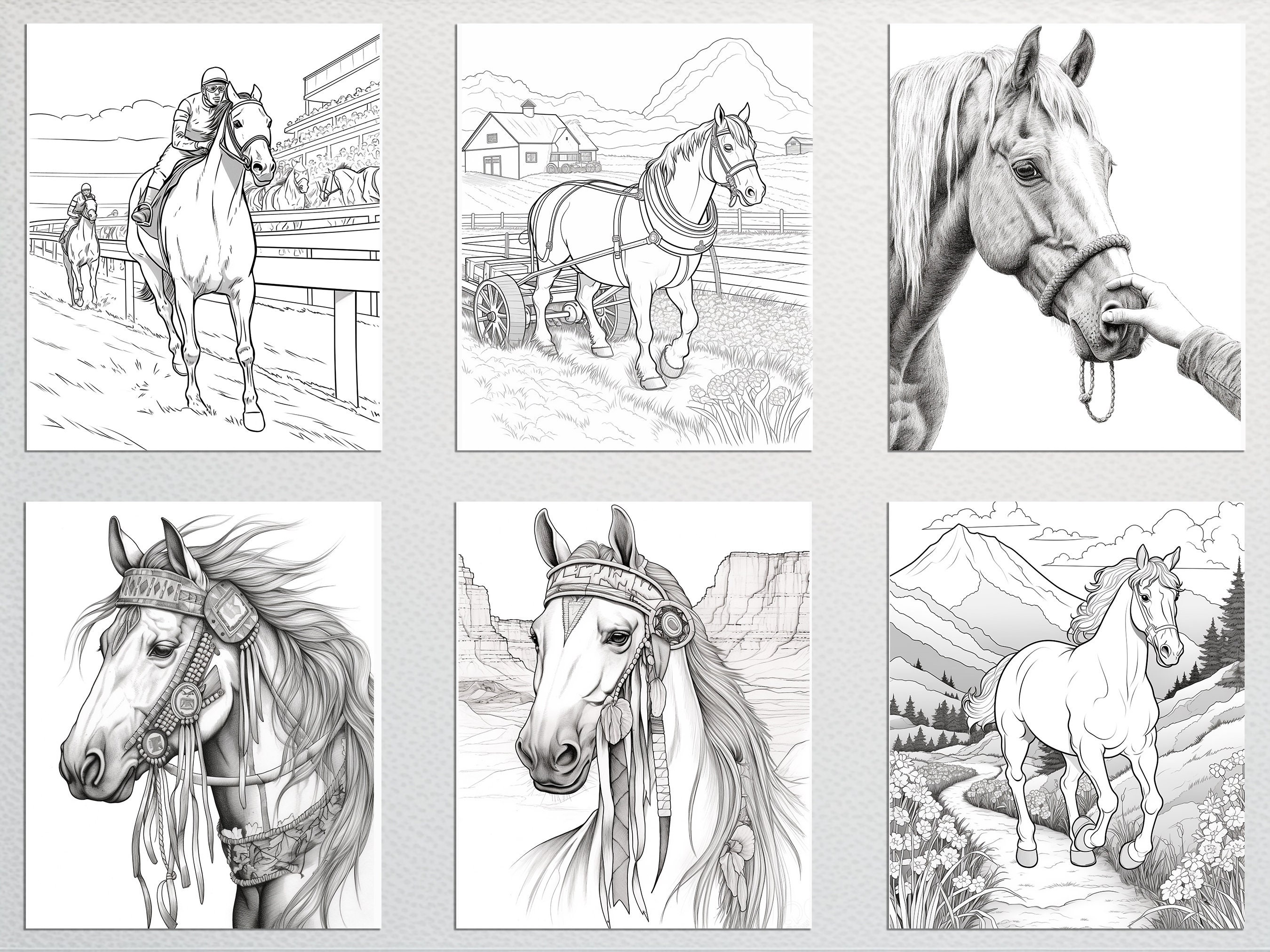 Horses Coloring Pages 40 Sheets Instant Download - Etsy