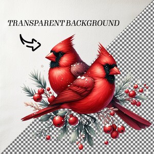 Christmas Red Cardinal Clipart, 16 Watercolor Birds PNG, Holiday ...