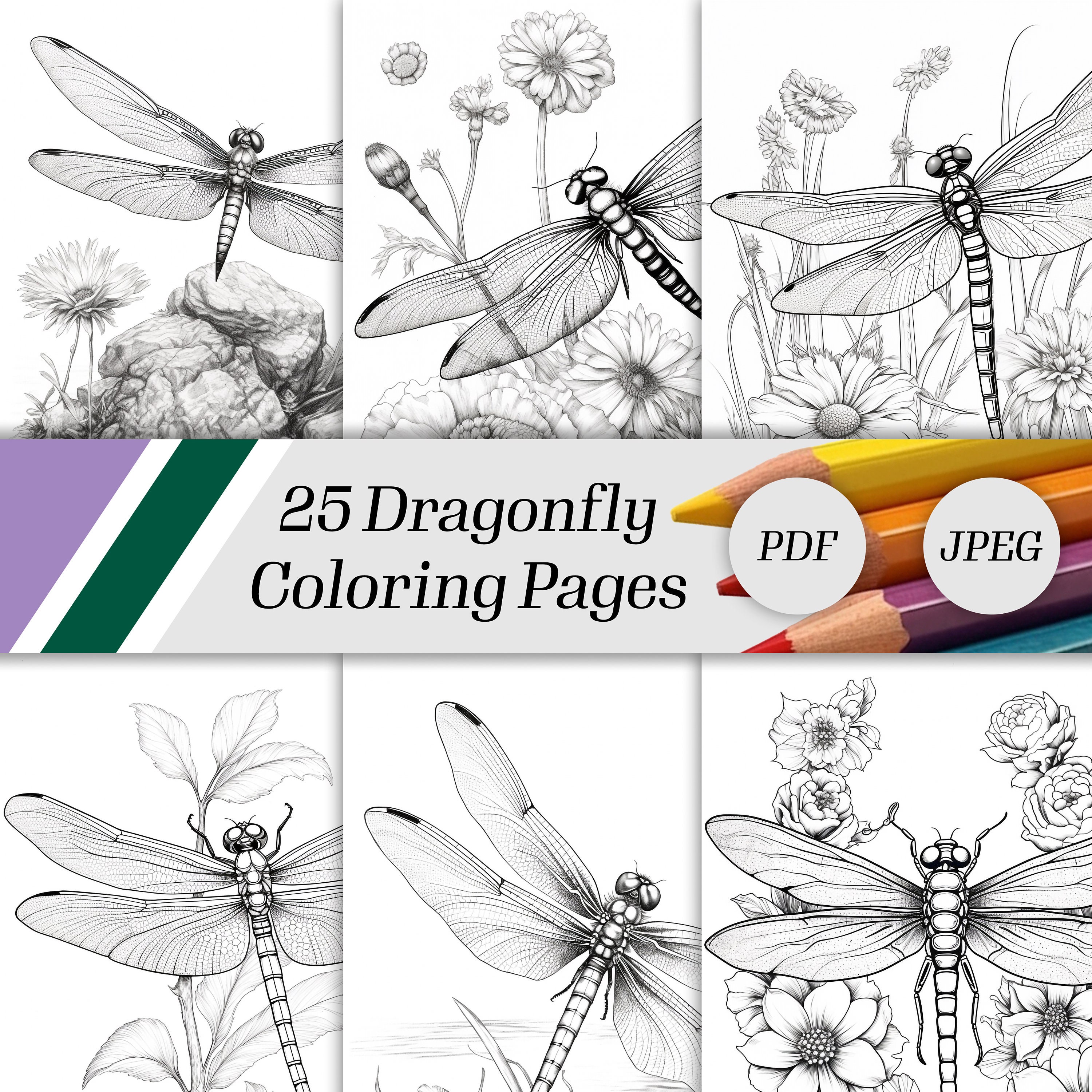 Cute Dragonfly Coloring Page