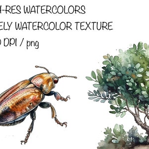 Watercolor Bugs Clipart - Watercolor Insects Spider Butterfly Clipart ...