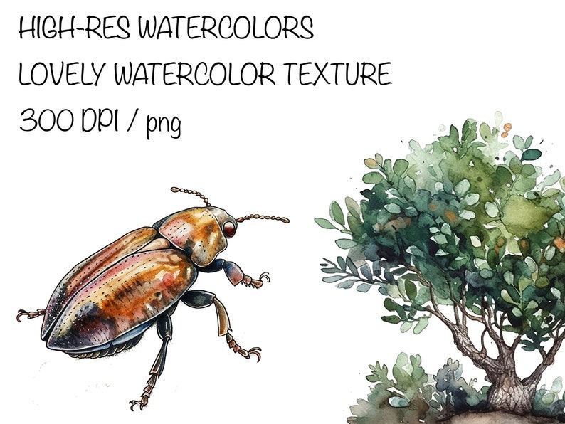 Watercolor Bugs Clipart Watercolor Insects Spider Butterfly - Etsy