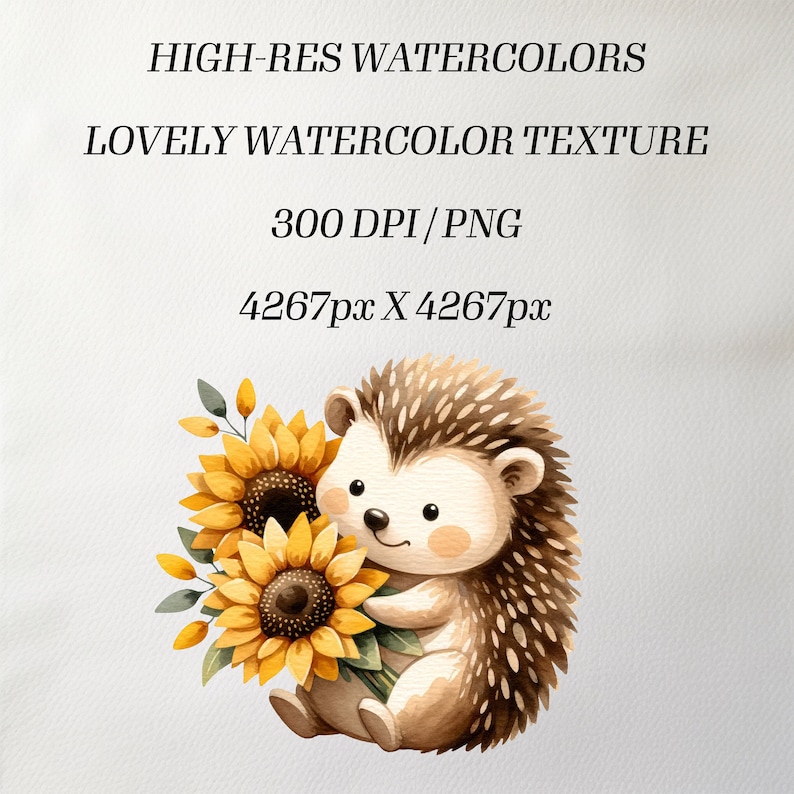 Cute Hedgehog Clipart Bundle: 25 High-res Pngs, Animals Watercolor ...