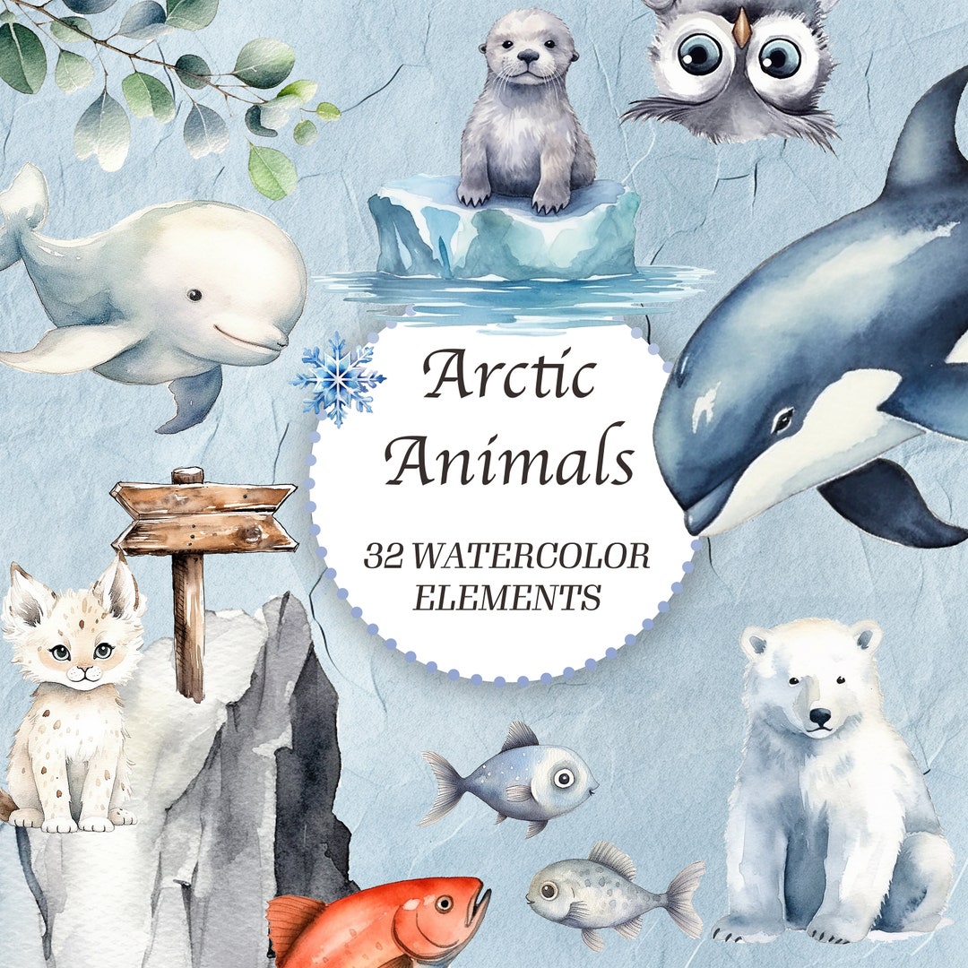Watercolor Arctic Animals Clipart Bundle Sublimation Designs for Baby ...
