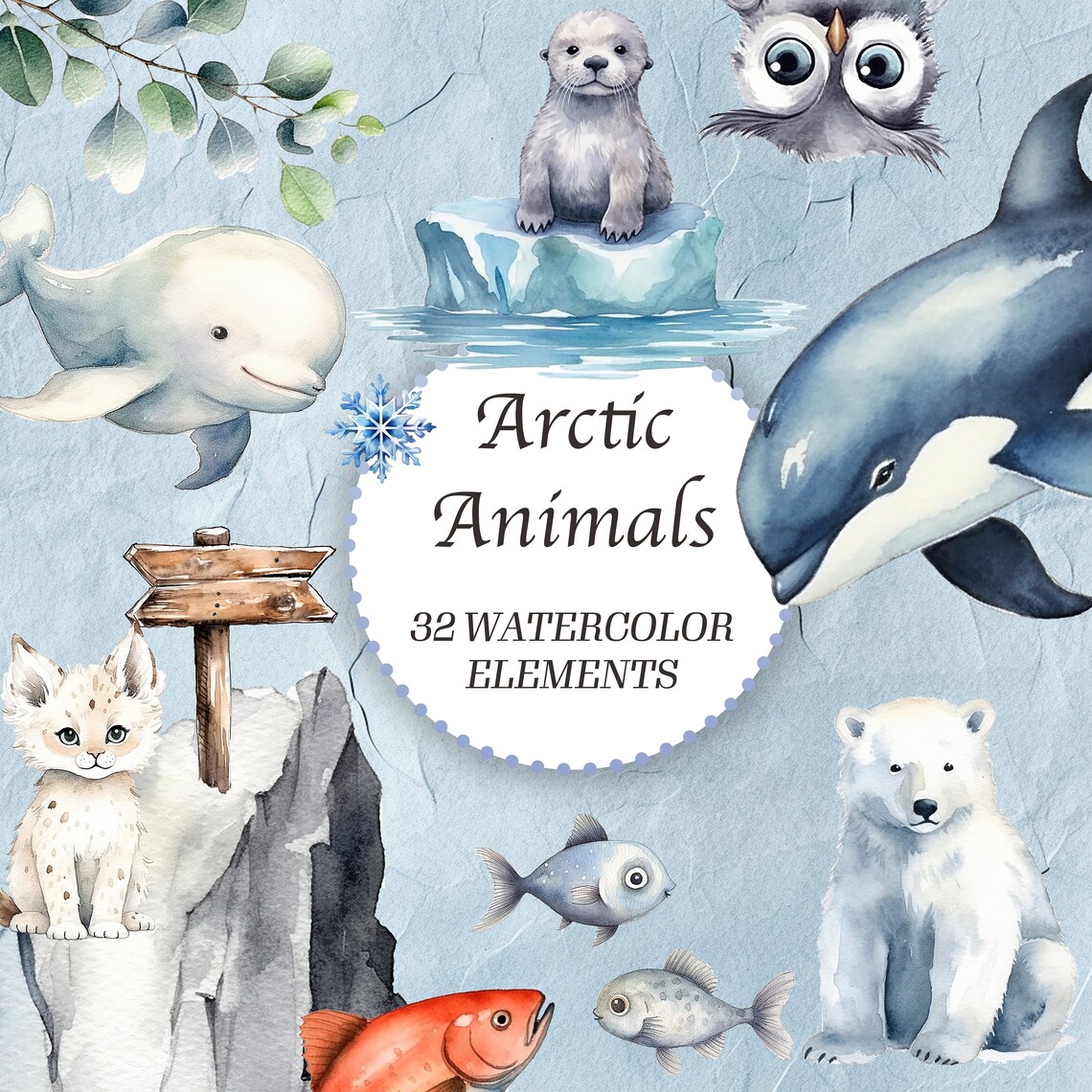 Watercolor Arctic Animals Clipart Bundle Sublimation Designs - Etsy
