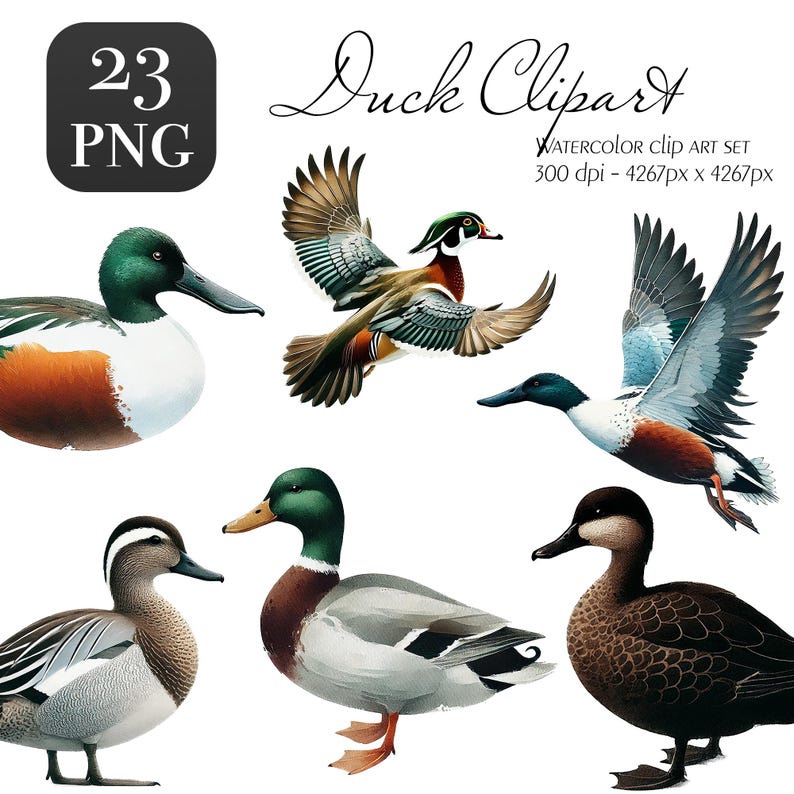 Watercolor Duck Clipart PNG – Realistic Duck Illustration Digital ...