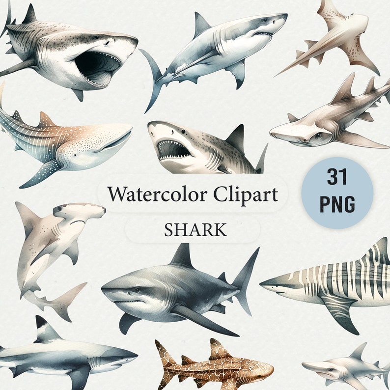 31 Watercolor Shark Clipart Pngs Ocean Theme, Great White, Whale, Tiger ...