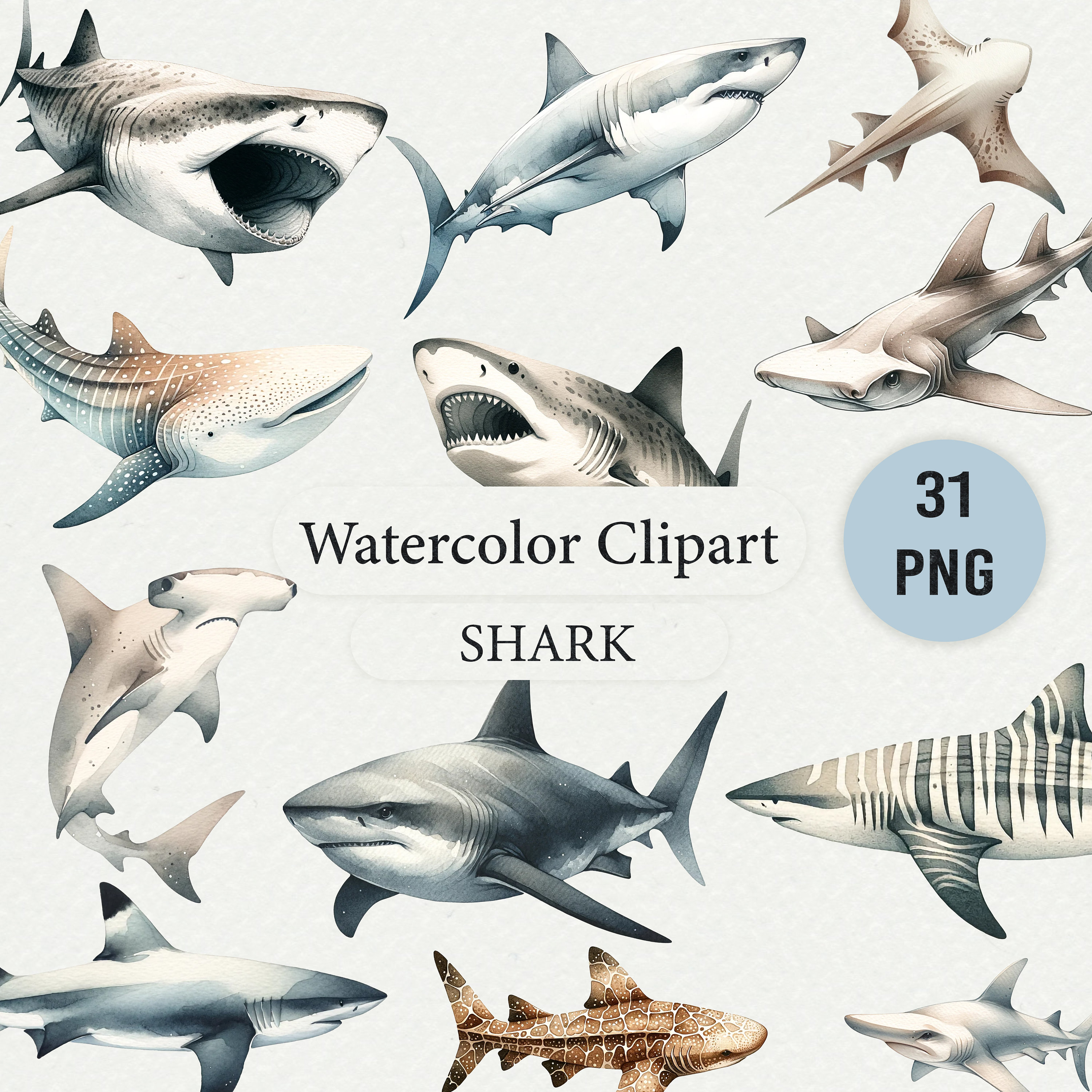 31 Watercolor Shark Clipart Pngs Ocean Theme, Great White, Whale, Tiger ...