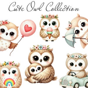 Cute Owl Watercolor Clipart Set - 24 Owl PNG Baby Animal Illustrations ...