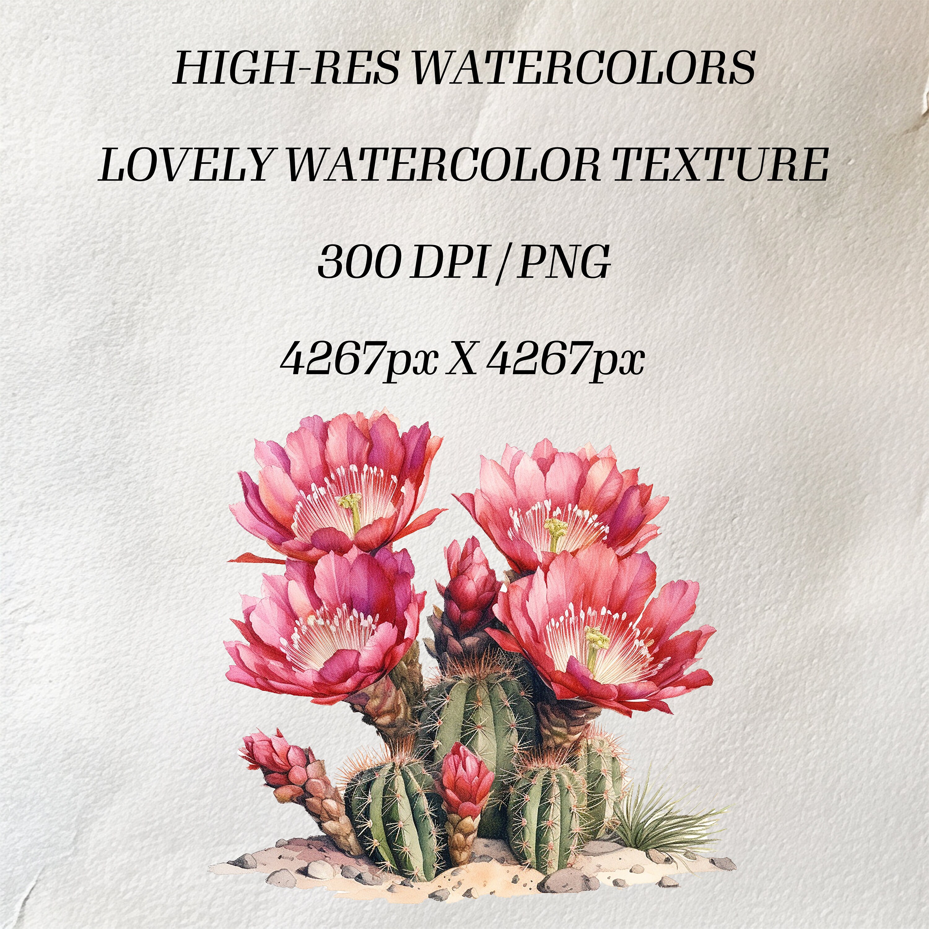 Watercolor Cactus Clipart Bundle: 33 Desert Graphics (instant Download ...