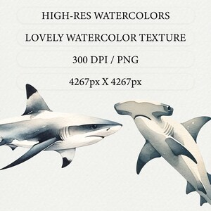 31 Watercolor Shark Clipart Pngs - Ocean Theme, Great White, Whale ...
