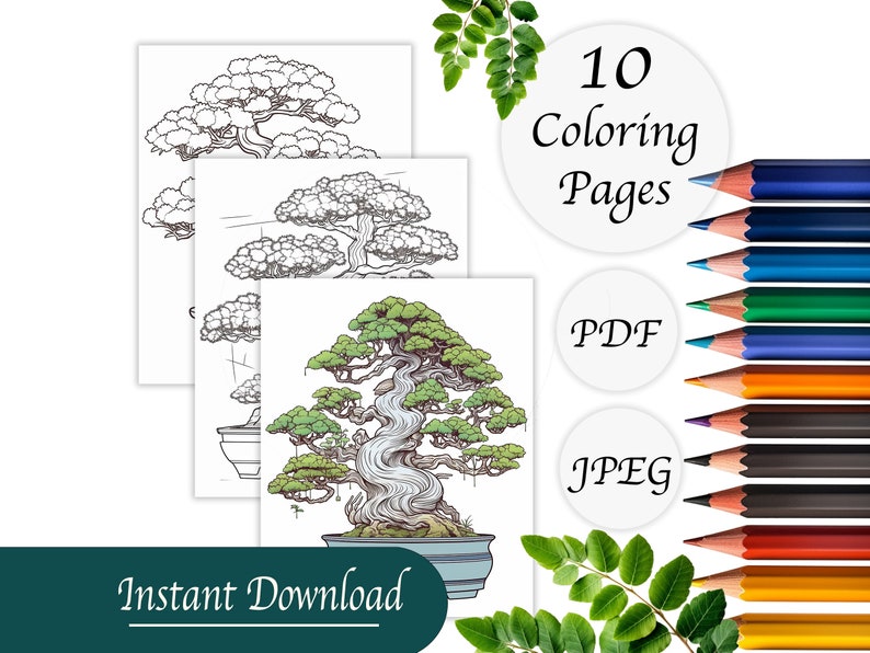 10 Bonsai Coloring Pages for Adults Japanese Bonsai Tree - Etsy