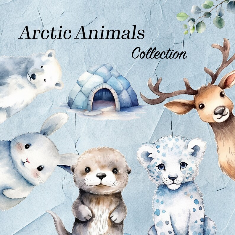 Watercolor Arctic Animals Clipart Bundle Sublimation Designs for Baby ...
