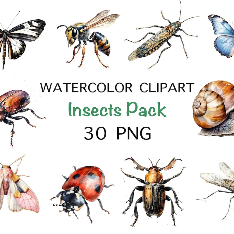Watercolor Insects - Etsy