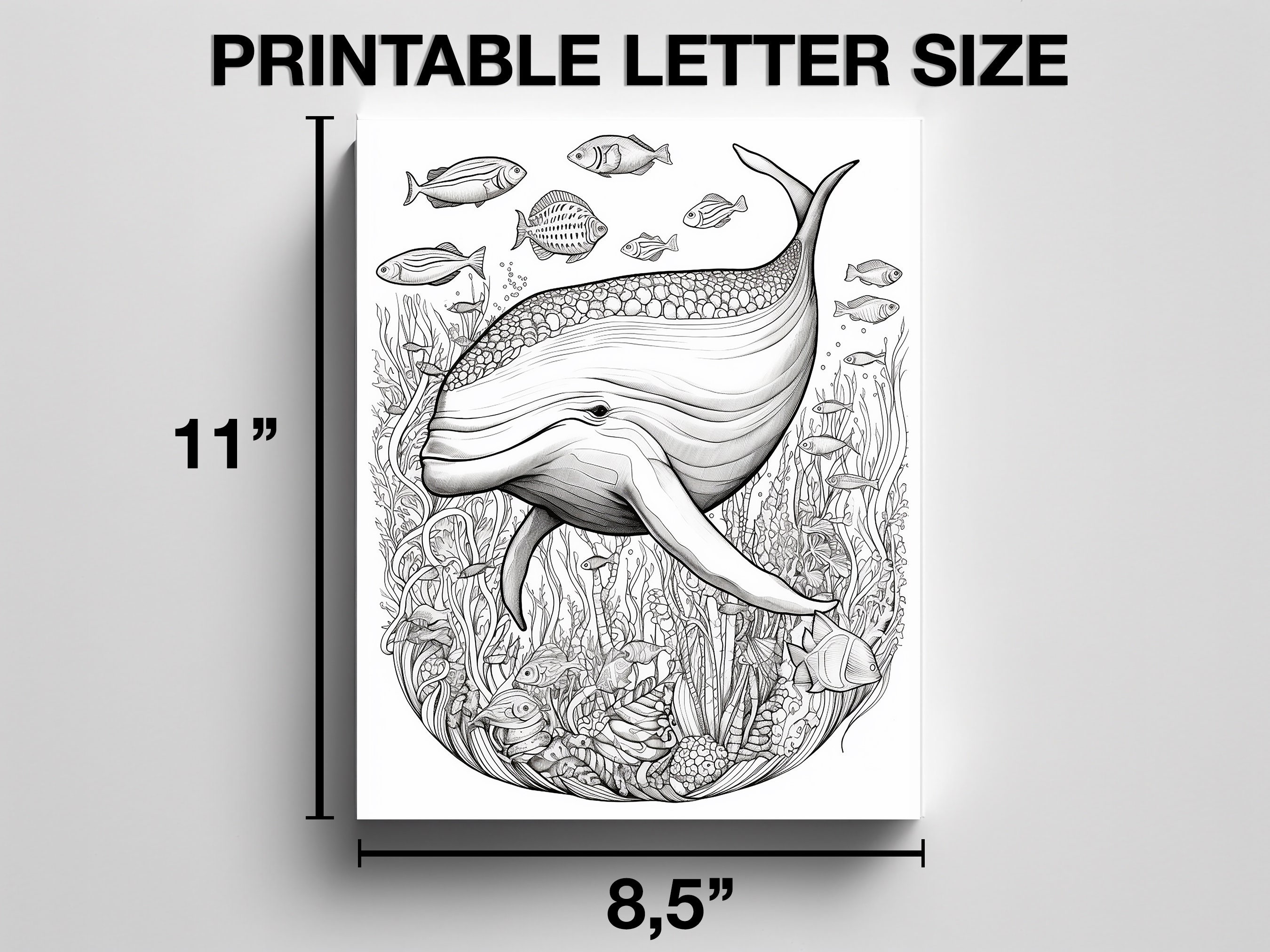 40 Ocean Coloring Pages for Adults, Under the Sea Animals and ...