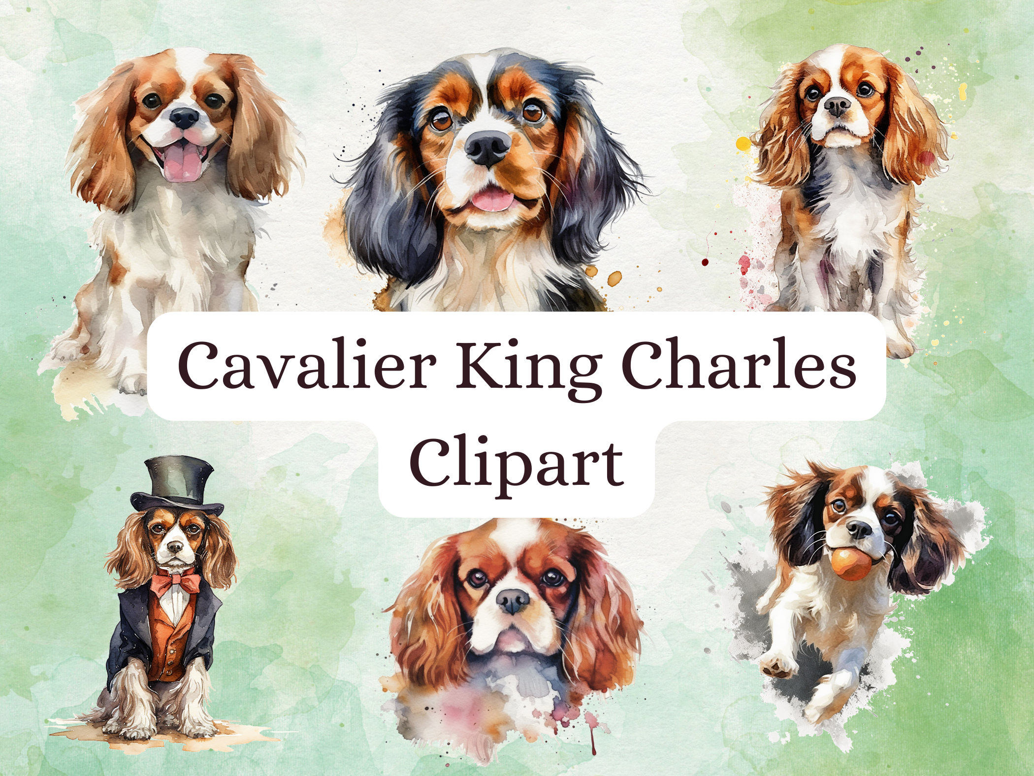 101 PNG Royal Watercolor Cavaliers Collection Whimsical - Etsy