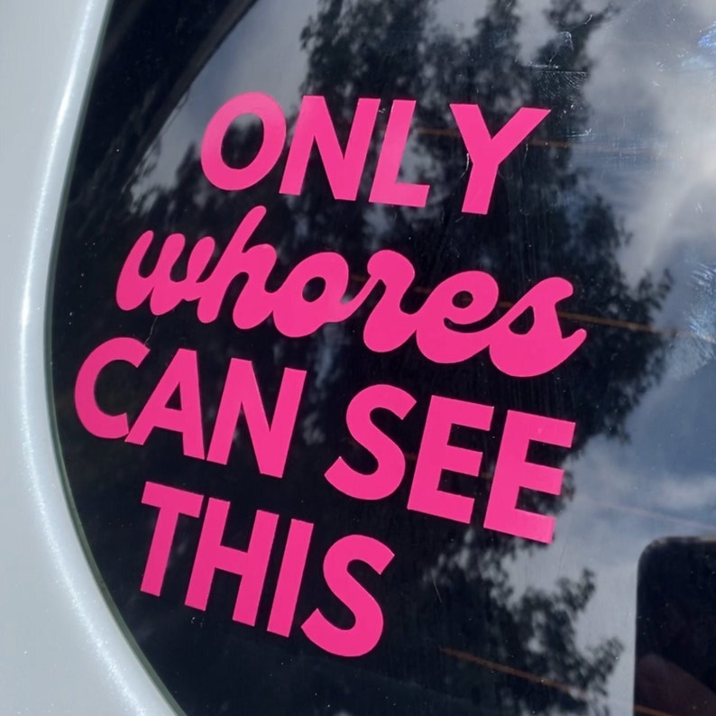 Funny Vinyl Decal Sticker, Offensive Car Laptop Decal (5x5") - Etsy