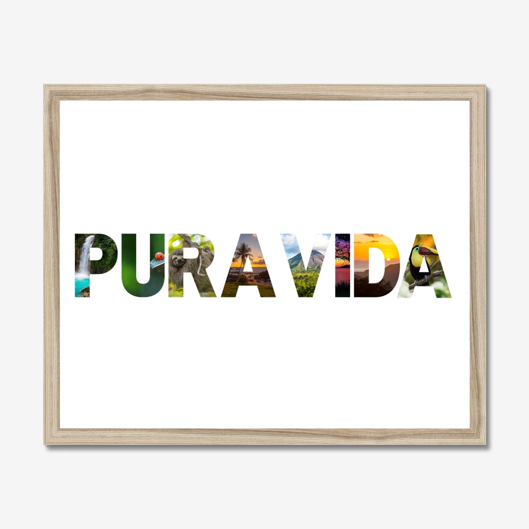 PURA VIDA Framed Floating Canvas Wall Art, Wall Canvas, Costa Rica ...