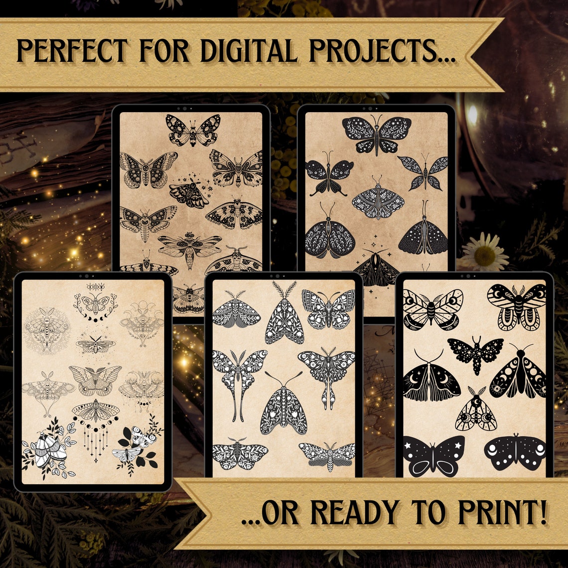 Moth Digital Stickers | Moth Clipart | PNG Clipart | Moth Goodnotes ...