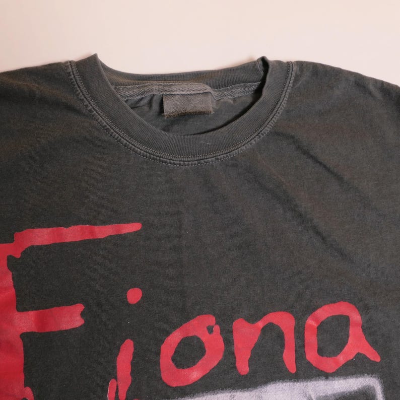 Fiona Apple When the Pawn... Tee Tidal Pop Rock Tour Club 90s Tour Gift ...