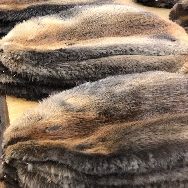 Beaver Pelt - Etsy