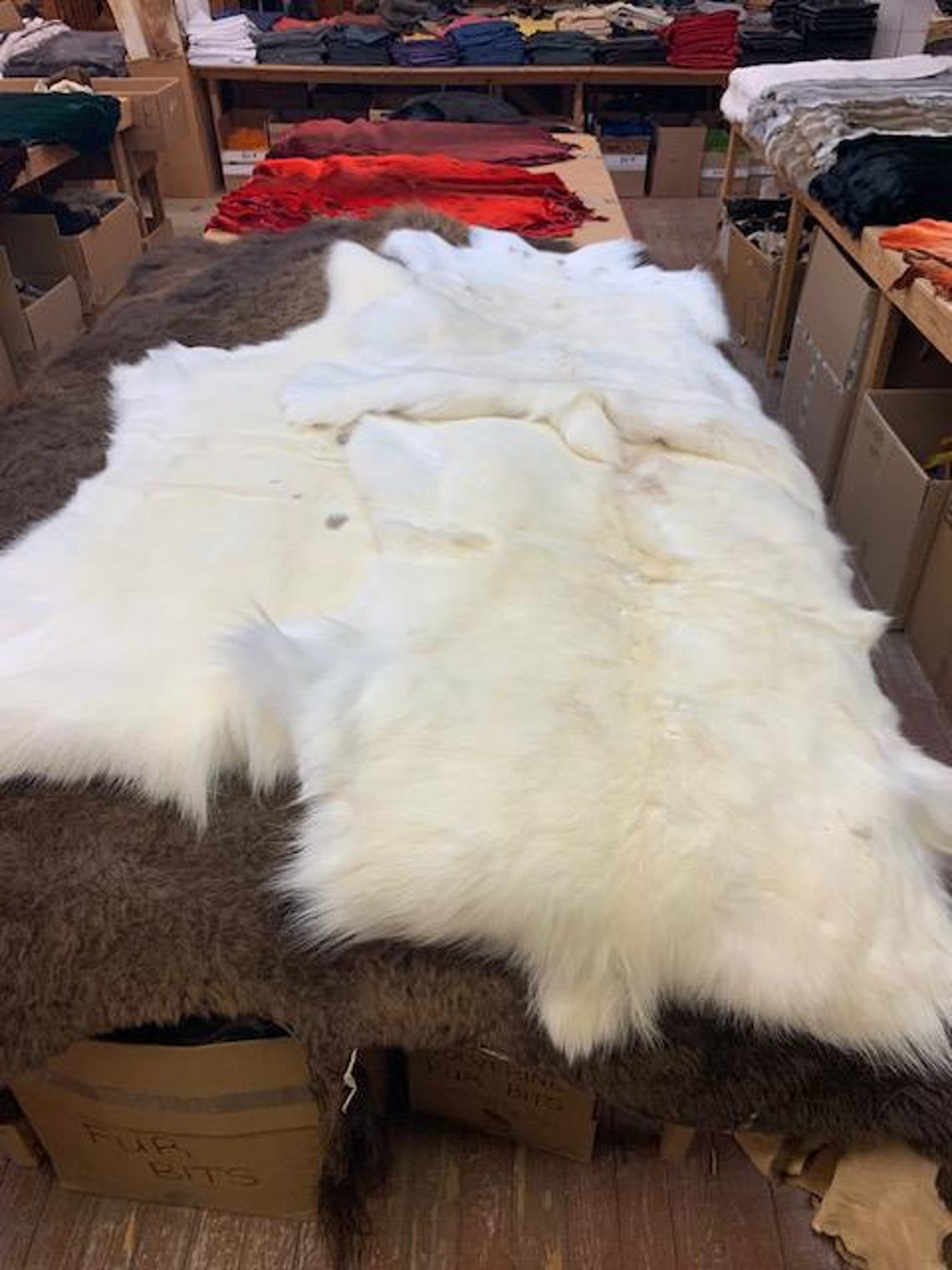White Reindeer Fur Hides - Etsy