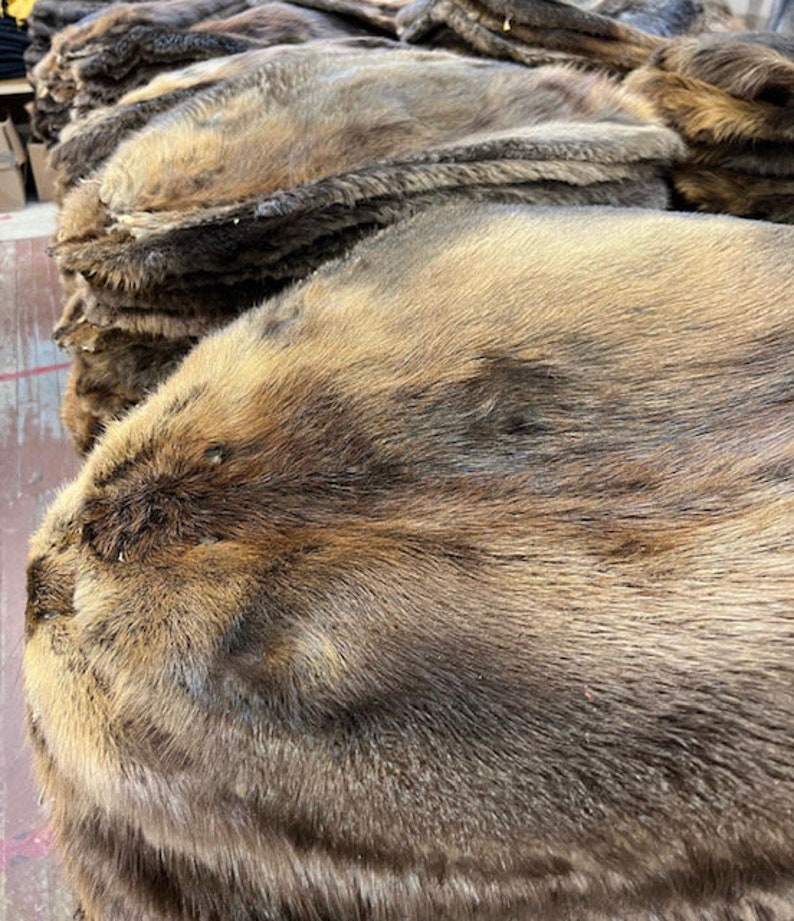 Beaver Fur Pelts - Etsy Canada