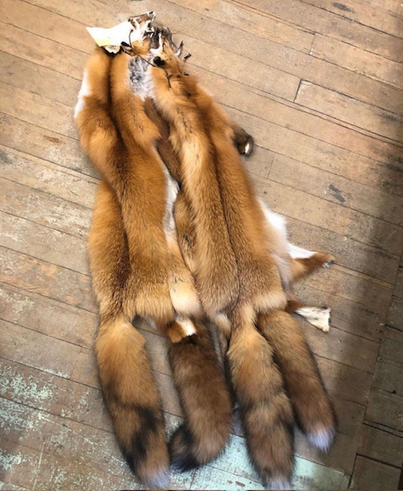 Wild Red Fox Fur Pelts - Etsy