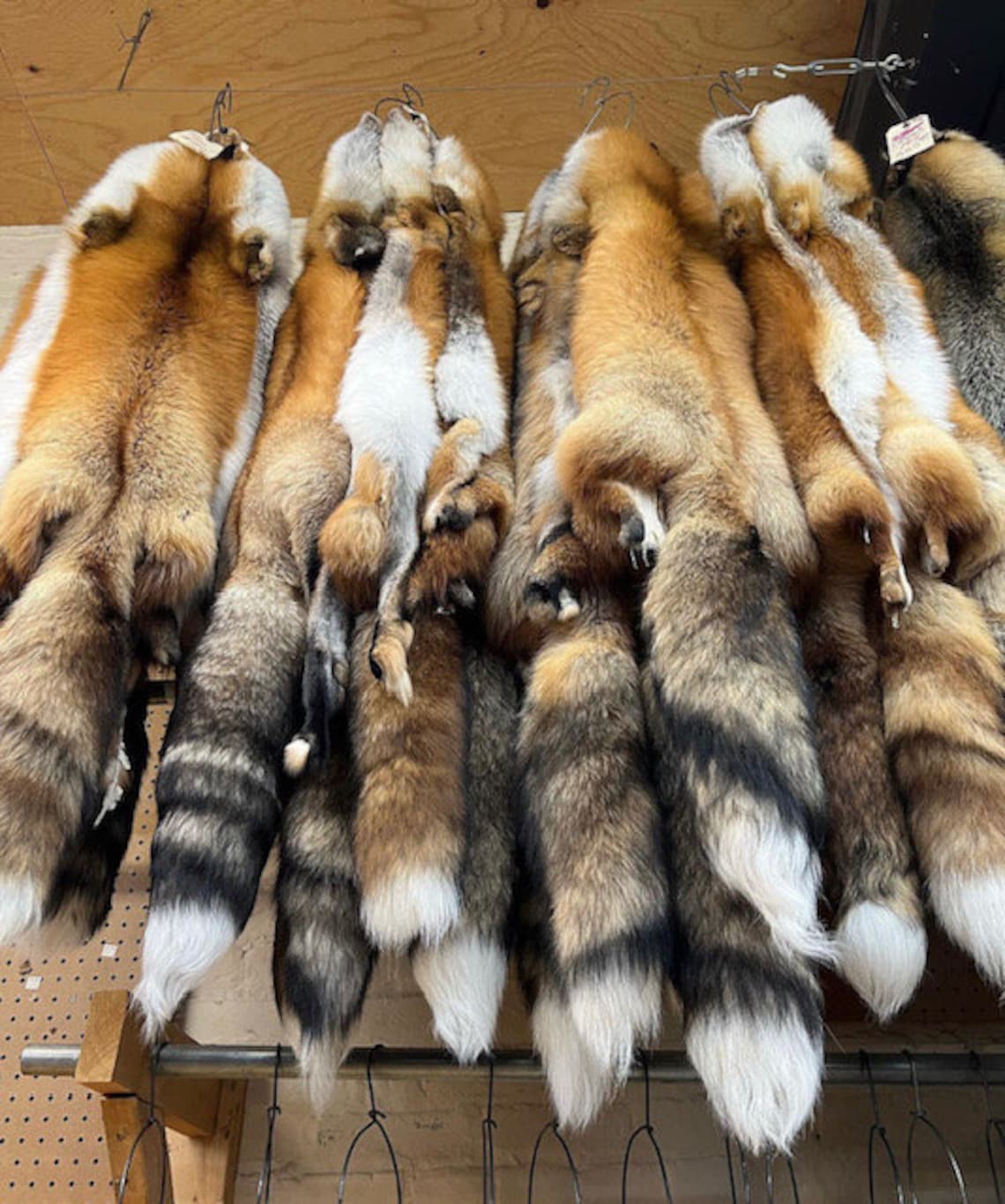 Ranch Red Fox Fur Pelts - Etsy Canada